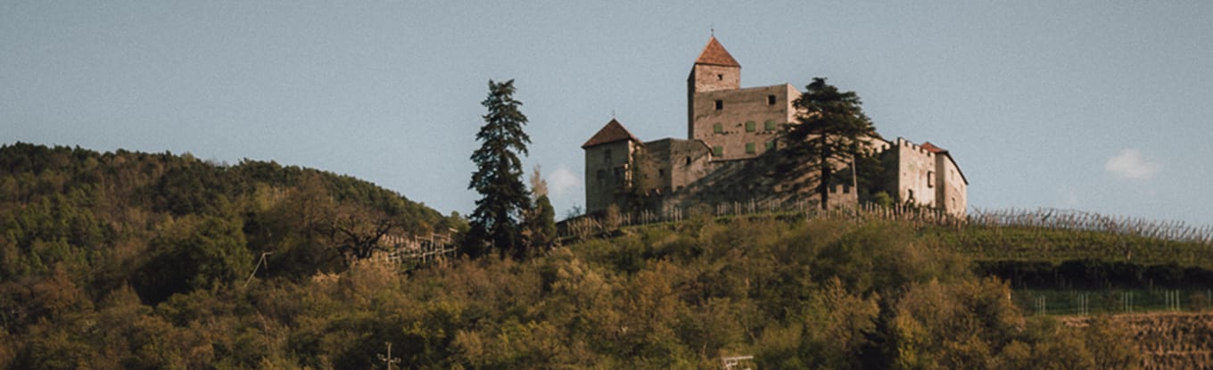 Pitzner - Dalla vigna al tuo calice | TRAVINO