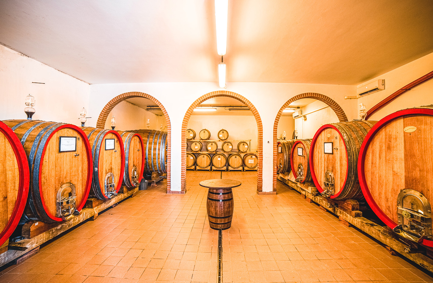 Terra Antica - Dalla vigna al tuo calice | TRAVINO